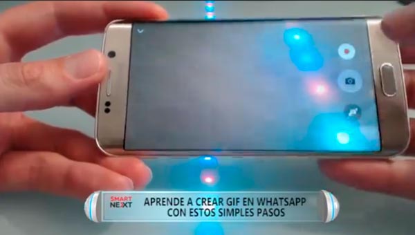 Aprende a crear gif en whatsapp con estos simples pasos - Noticias del ...