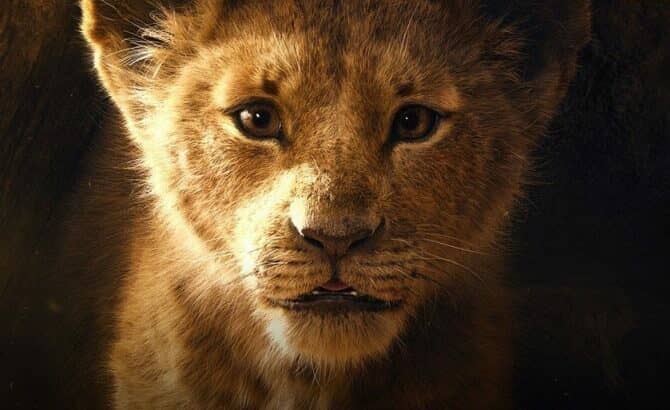 El tráiler de ‘El Rey León’, la nueva versión real de Disney - Noticias ...
