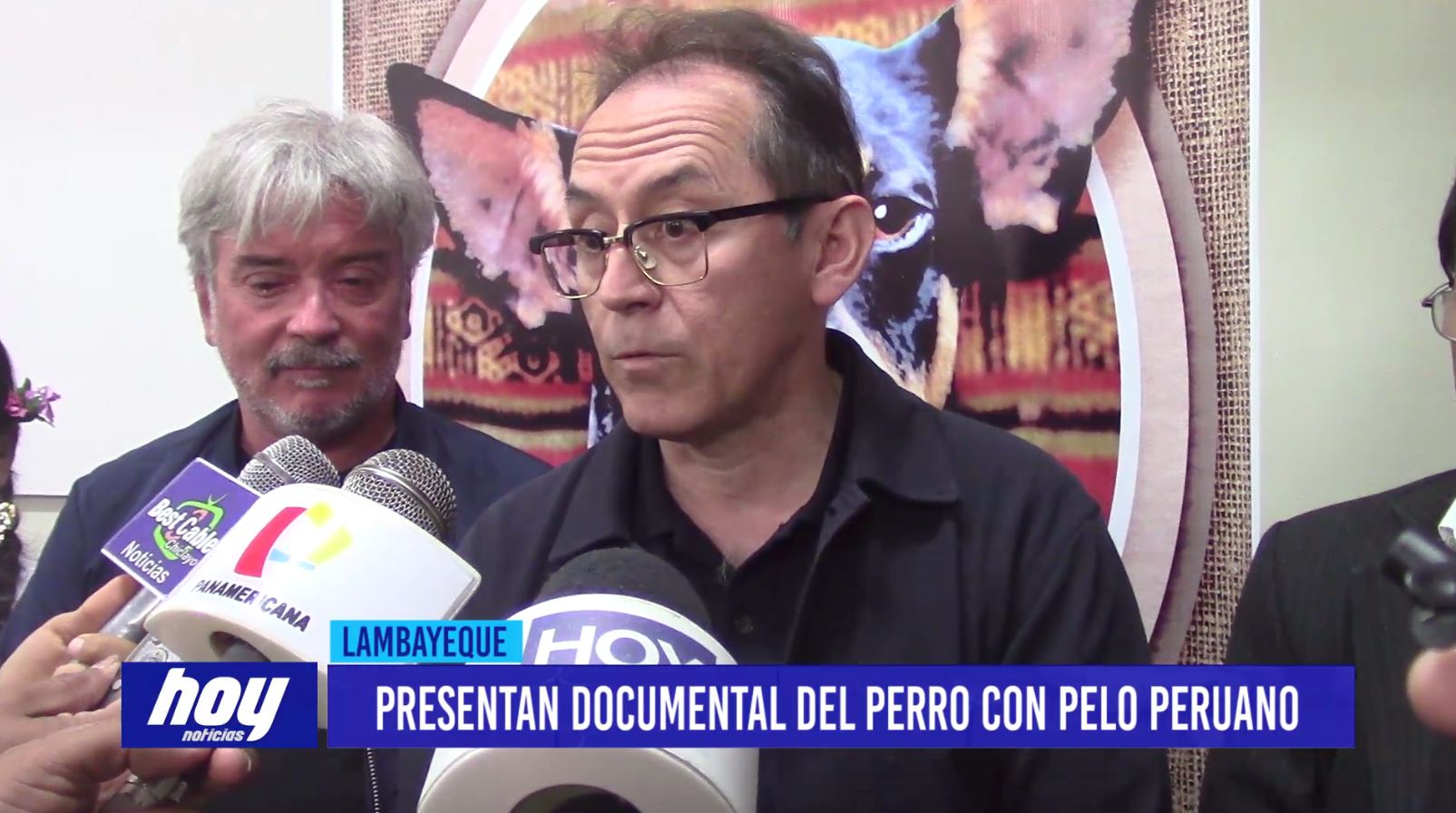 Chiclayo: Presentan documental del perro con pelo peruano - Noticias ...
