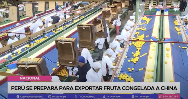 Perú se prepara para exportar fruta congelada a China - Noticias del ...